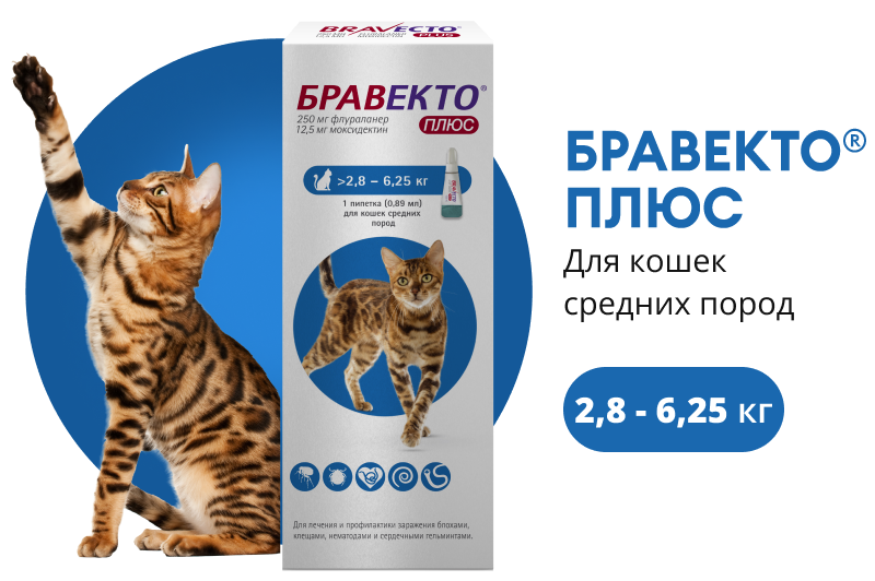 Бравекто